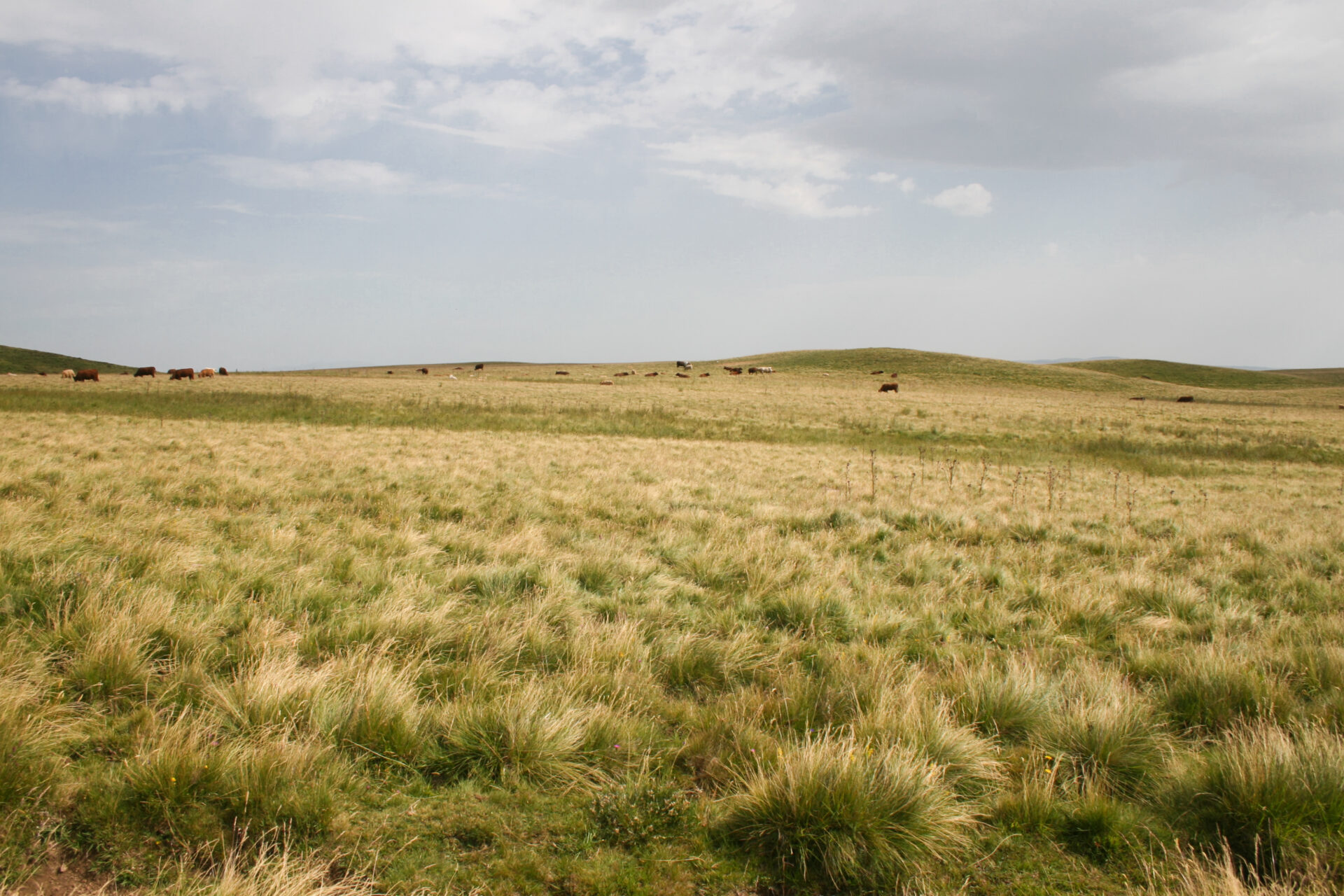 Discover France And Its Culture: The Limousin Region (part II) - AFGO