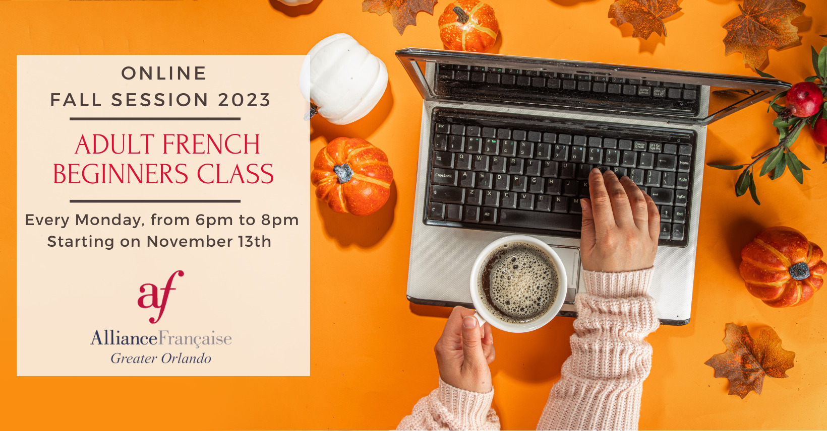 Fall Session Online French Beginner Class For Adults AFGO